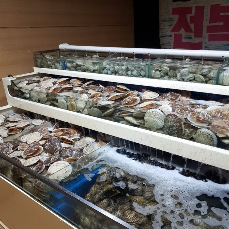 서울 석화찜무제한 맛집 제철해산물로 점령당한 찐후기 네이버 블로그