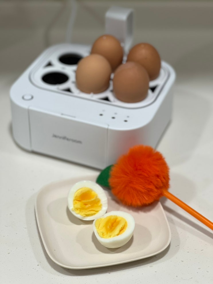 계란 삶는 기계 제니퍼룸 찜기 추천 : 네이버 블로그