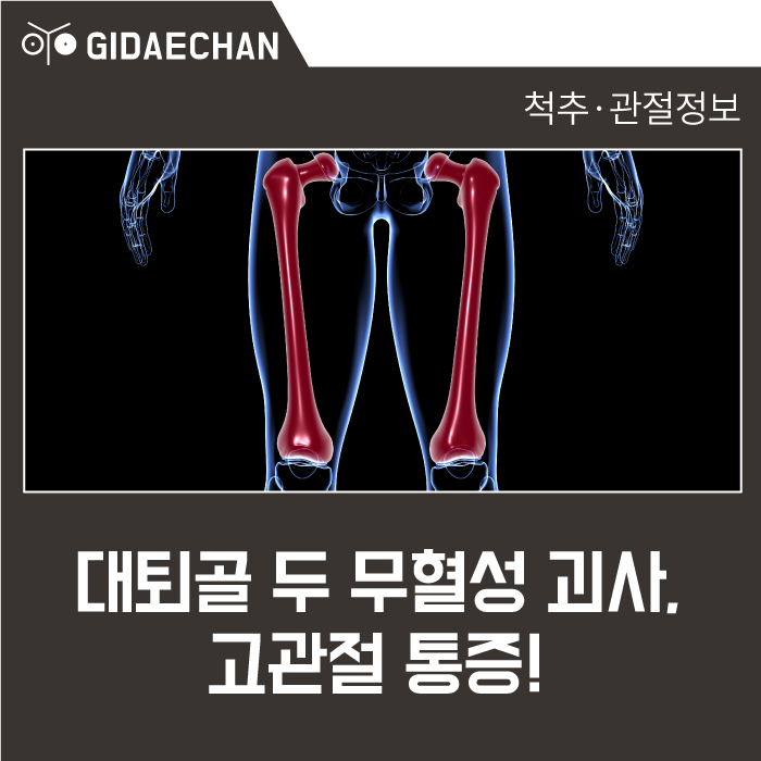 대퇴골 두 무혈성 괴사 고관절 통증 네이버 블로그