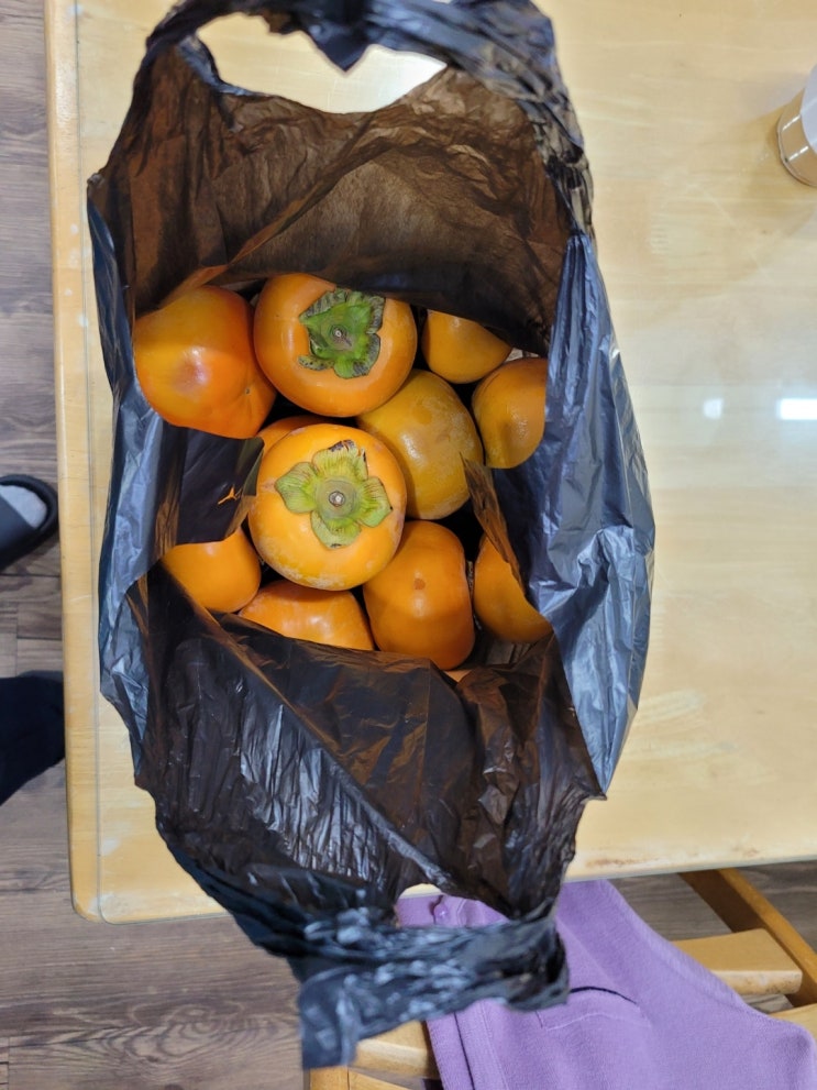 해운대 신시가지 신도시 장산역 내과 저희 한의원 에서 자율신경실조증 수족냉증 소화불량 신경과 치료 받으시는 환자분께서 감을 또