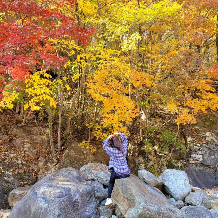 구례 가을 단풍 명소 : 지리산 피아골 직전마을 : 네이버 블로그