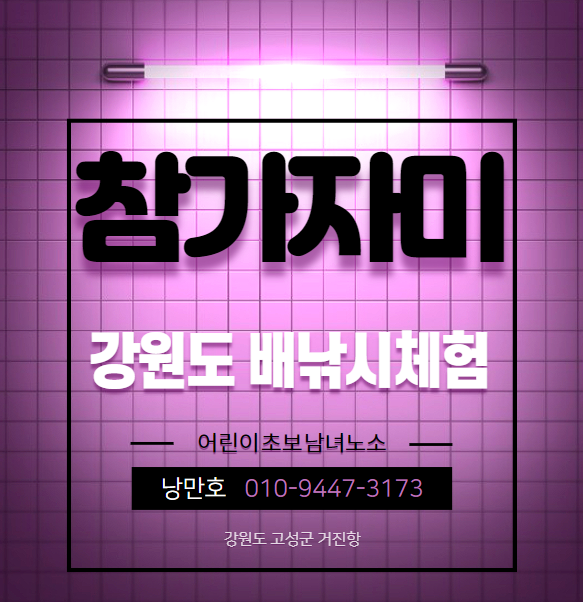 강원도배낚시 체험 참 가자미 거진 낭만호 배낚시 출항 예약 안내낚시대 무료 대여 네이버 블로그