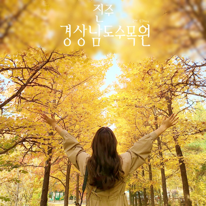 단풍 명소였던 진주 가볼만한곳 경상남도 수목원 정말 예뻐요 네이버 블로그