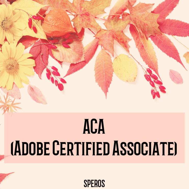 ACA(Adobe Certified Associate) 자격증에 대해서 : 네이버 블로그
