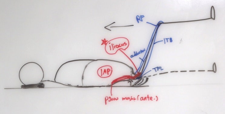 sahrmann exercise : 네이버 블로그