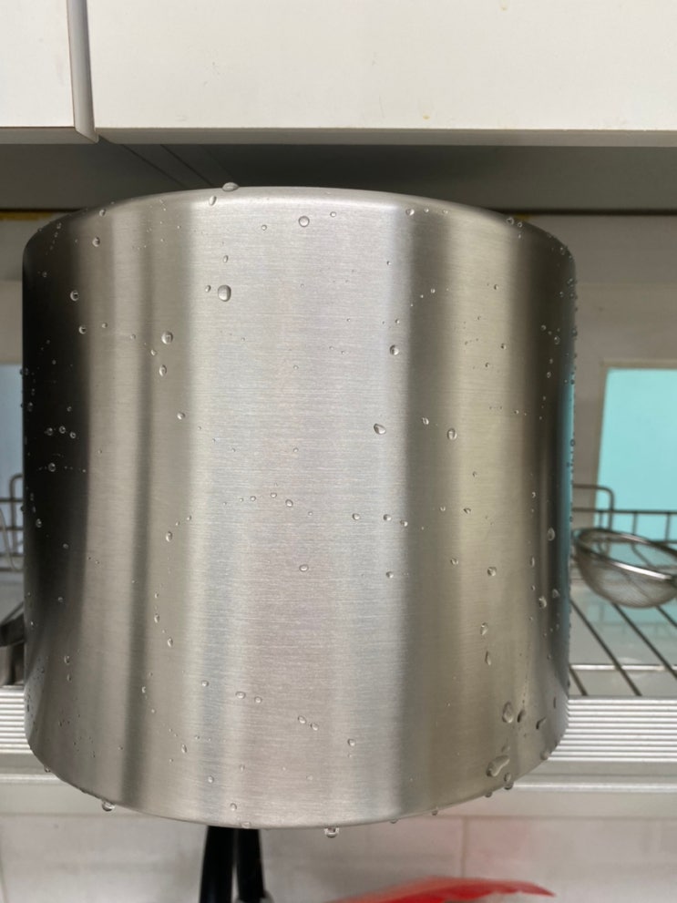 내돈내산) 스텐레스 가습기, 에버홈 스텐가습기 EV-HU9000 : 네이버 블로그