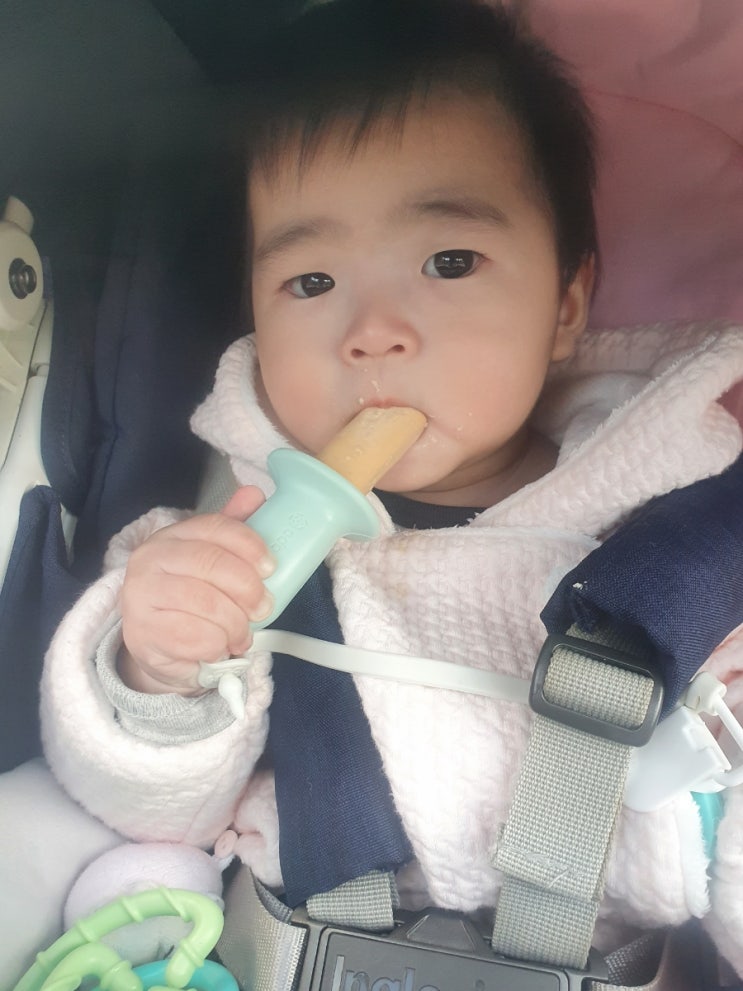 아기 이앓이 과자 티딩러스크 앙파파 내돈내산 후기 네이버 블로그