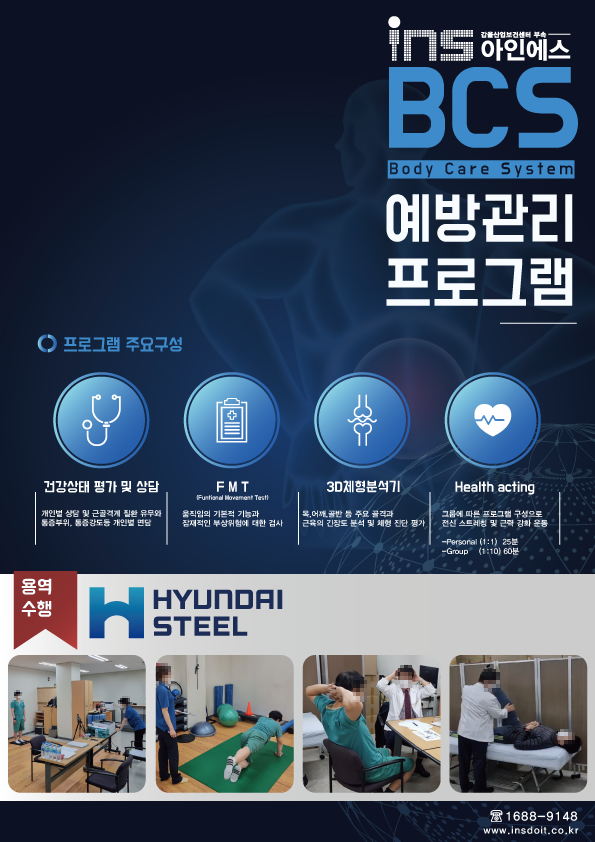 BSC 예방관리프로그램 도입 (용역수행-현대제철) : 네이버 블로그