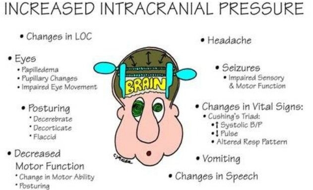두개내압 상승 (IICP, Increased ICP)의 원인, 증상과 징후 그리고 쿠싱반사(Cushing reflex ...