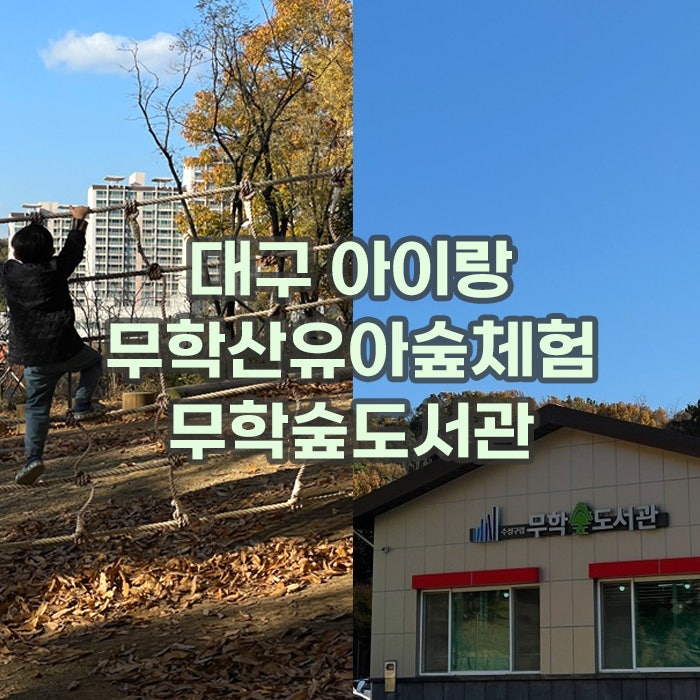 대구 아이랑 가을 무학산 유아숲체험과 무학숲도서관 즐기기 네이버 블로그