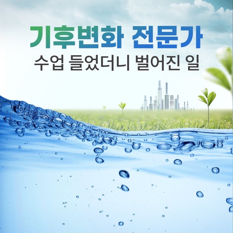 기후변화 전문가가 되어 지구를 보살펴 주세요! MKYU 기후변화 전문가 과정 : 네이버 블로그