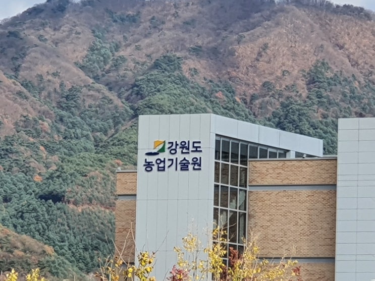 강원도 농업기술원 정문 출입구의 3곳에 레일 설치가 전혀 필요없는 무레일 자동자바라 인`~ 스텐 전동자바라 대문 3대와 자바라