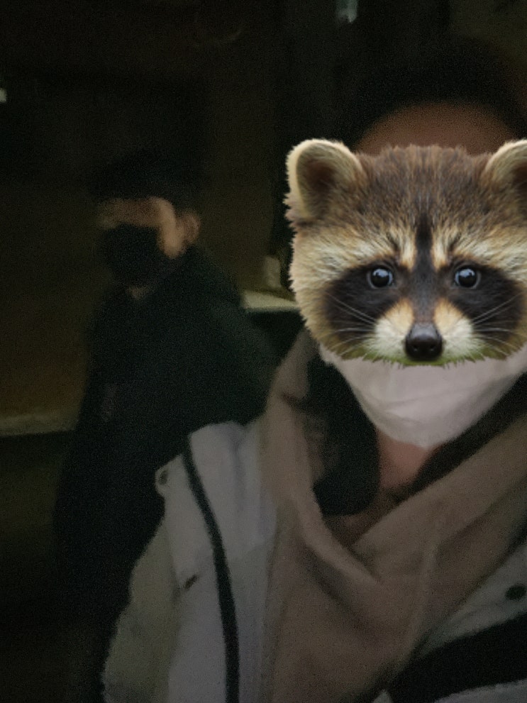 1116 : 네이버 블로그