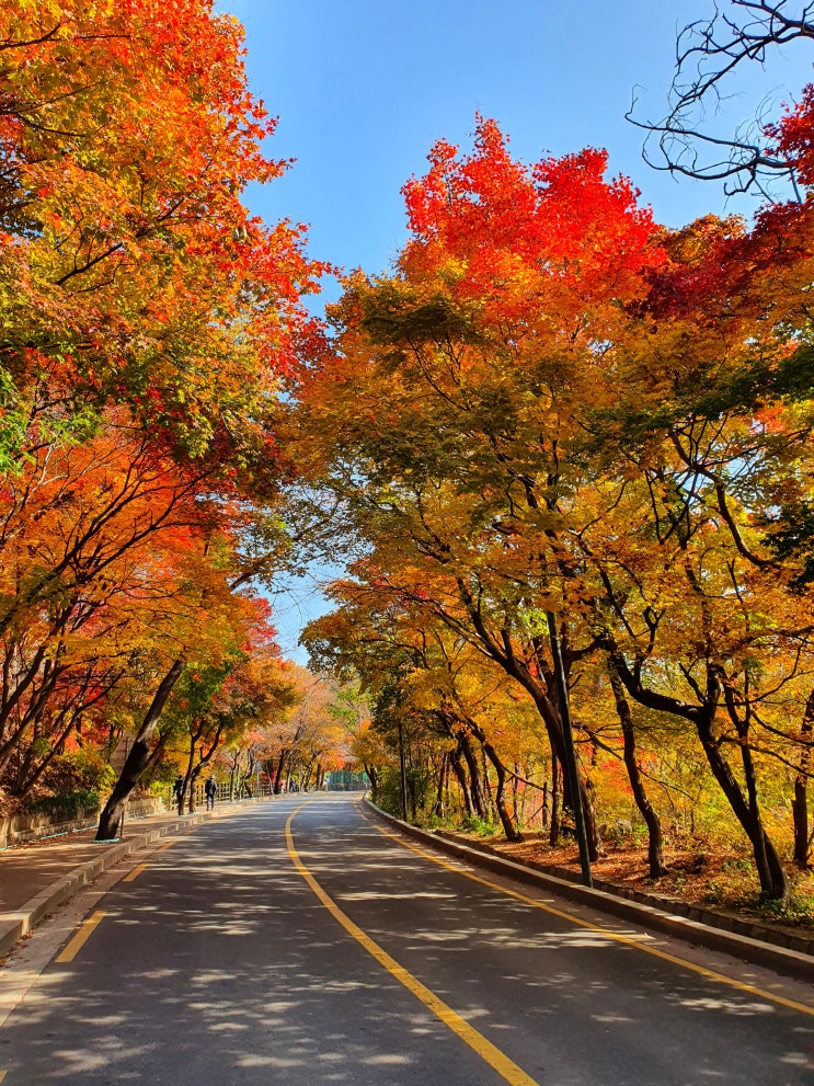 2021no171 아차산 등산코스 생태공원 어울림광장 둘레길 네이버 블로그
