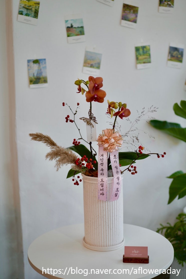 A Flower A Day 어플라워어데이 전시회축하화분 전시회화분 개인전 축하화분배달 서양난 호접난 고급난화분 영등포 여의도