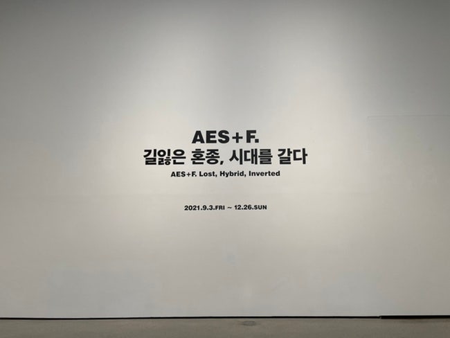 “전남도립미술관” AES+F. 길잃은 혼종, 시대를 갈다 : 네이버 블로그