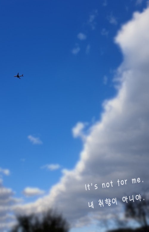 It's not for me ~내 취향이 아니야/~좋아하지 않는다 : 네이버 블로그