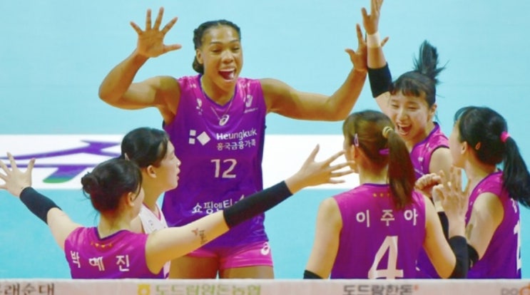 KOVO 프로배구 여자배구 18일 흥국생명 KGC : 네이버 블로그
