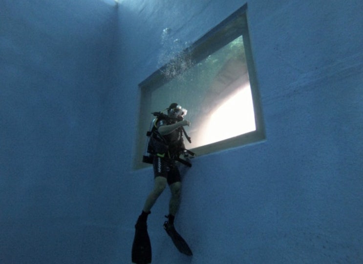 K26/가평잠수풀/국내최대 잠수풀/스쿠버다이빙 : 네이버 블로그