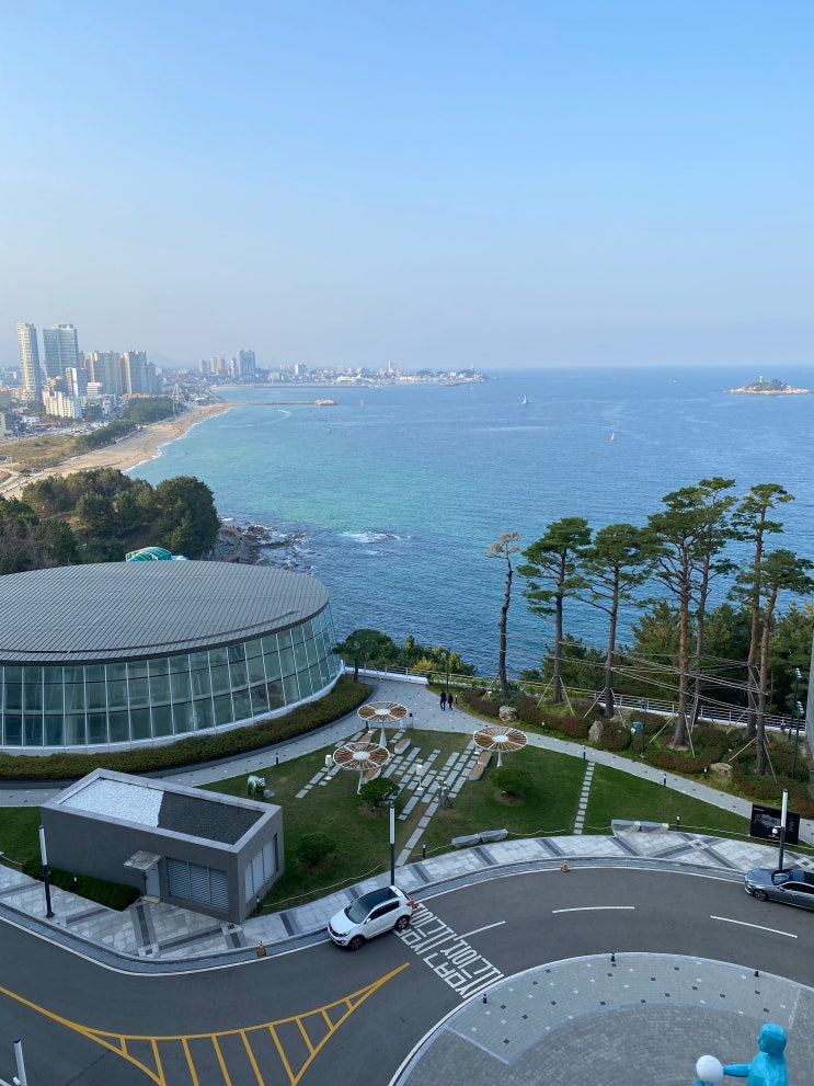 속초 여행속초 숙소 속초 오션뷰만으로도 행복한 롯데리조트속초속초롯데 콘도 패밀리 트윈룸 네이버 블로그