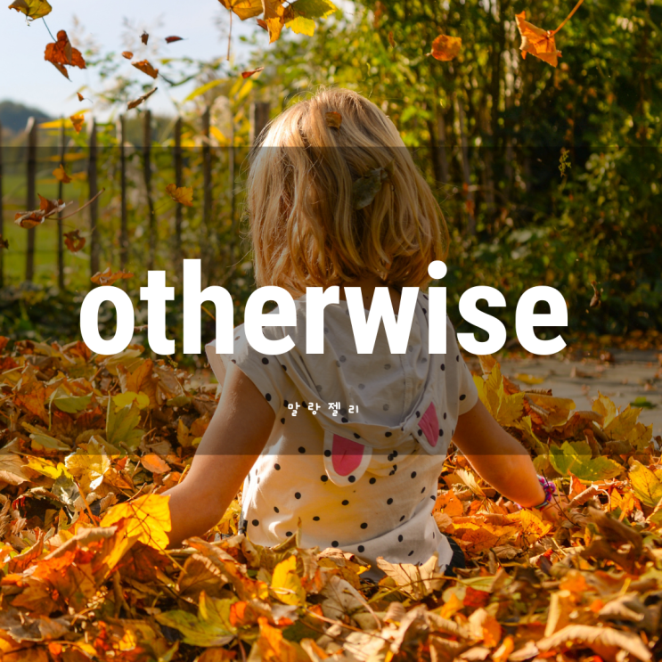 otherwise 쉽게 해석하기 : 네이버 블로그