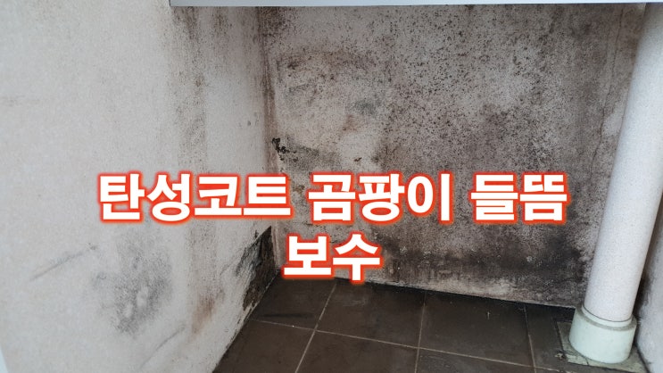 경기도 고양시 덕양구 화정동 아파트 탄성코트 들뜸 벗겨짐 박리 하자 보수탄성코트 하자 보수는 결로 방지 단열재 접착 후
