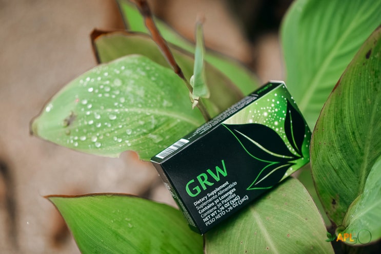 APLGO에이피엘고,에이피엘코리아,APLKOREA,캔디-GTS,NRM,HPR,HRT,ICE,RLX : 네이버 블로그