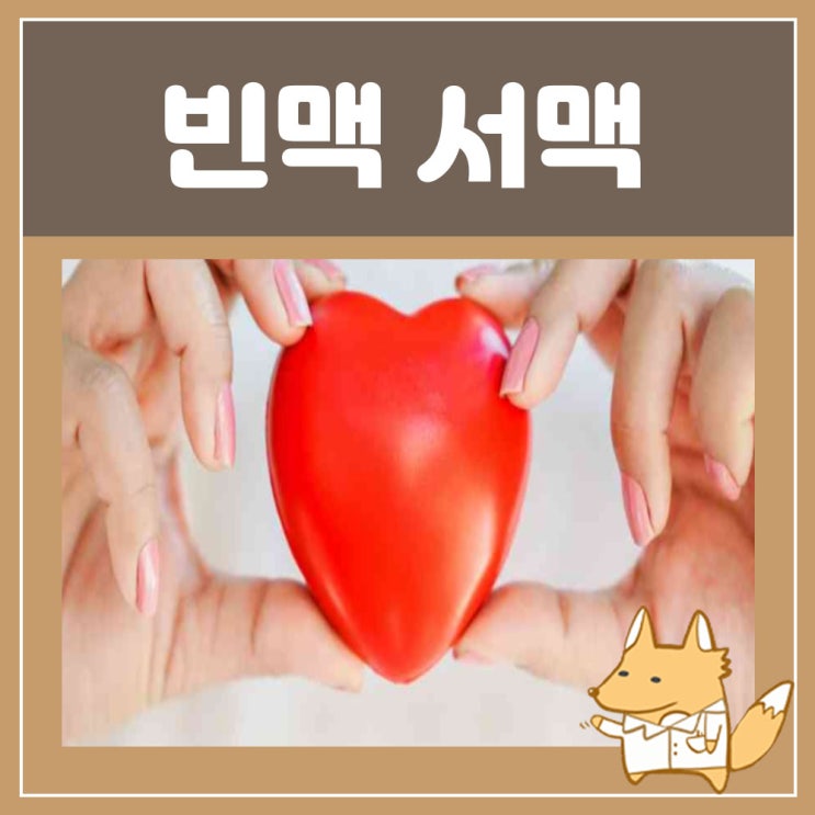 성인 정상 맥박수 빈맥 서맥 증상 서맥성 빈맥성 부정맥 평균 최대 안정시 심박수 정상수치 심장박동수 네이버 블로그