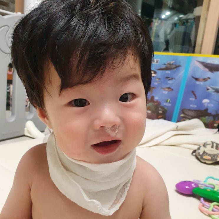 7개월 아기 콧물 코막힘 정복하기노시부 코뻥 코끼리뺑코 배숙 올바스오일 칠드런 마플러스 피지오머 베베 휴지로 콧물