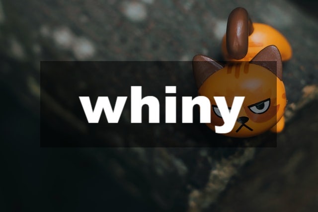 단어학습 영단어 whiny와 whinny 둘을 공부해 볼까요? : 네이버 블로그