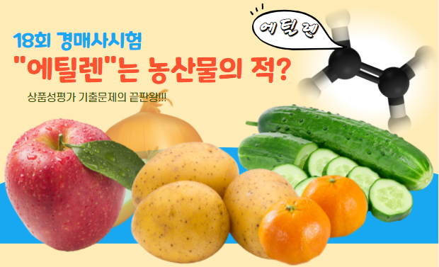 제18회 기출문제 풀고 경매사 되기 청과부류 상품성평가 5번 에틸렌은 농산물의 적인가 네이버 블로그