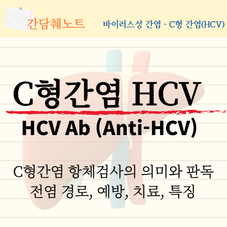 HCV, C형간염의 항체 검사(HCV Ab), 전염경로와 예방법 : 네이버 블로그