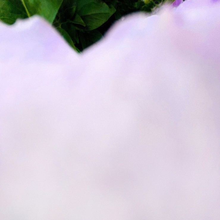 알틴비 - 은유 [노래가사, 듣기, Audio] : 네이버 블로그