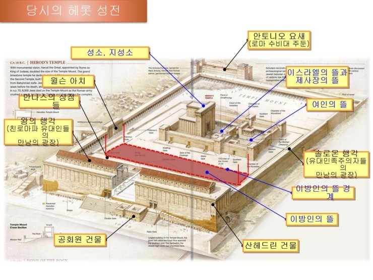 요한복음 8강 "성전정화" : 네이버 블로그
