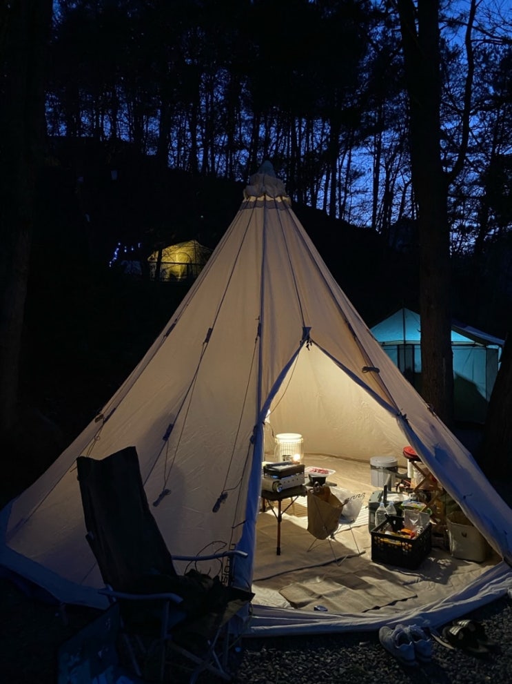 노르디스크 알페임 19.6 : 네이버 블로그