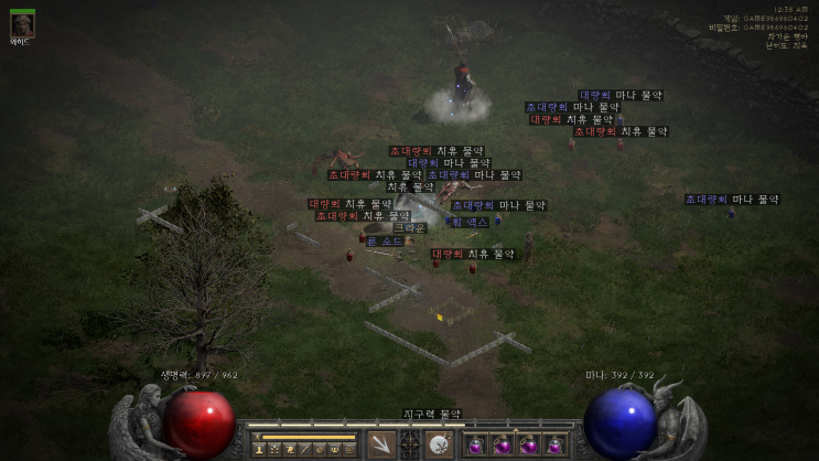 디아2 언데드 왕관 크라운 (언데드 크라운 - Undead Crown) 지옥 액트1 드랍 : 네이버 블로그