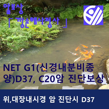 NET G1 신경 내분비 종양 D37.5, C20 암 진단비 : 네이버 블로그
