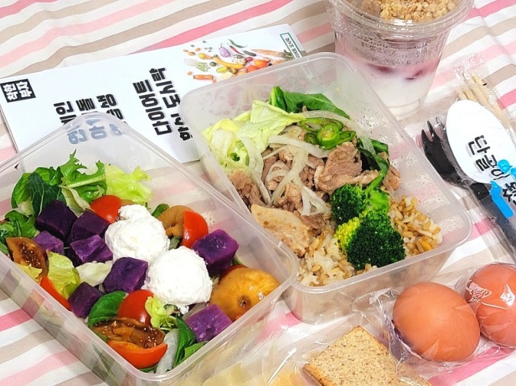 송파 샐러드 맛집 착한부자 다이어트 송파점 도시락 하루셋트 배달 후기 네이버 블로그