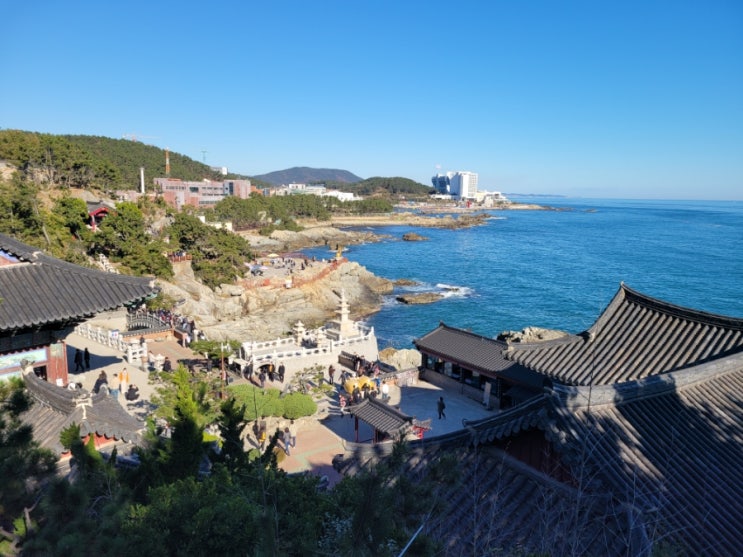 여행 부산여행 부산기장 바다위의 절 해동용궁사 네이버 블로그