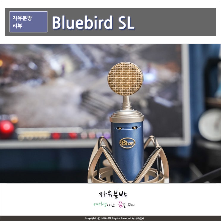 유튜브 마이크 추천, 블루 Bluebird SL XLR단자 : 네이버 블로그
