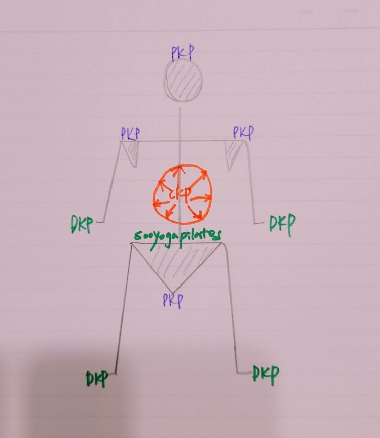 Key points:PKP,CKP,DKP : 네이버 블로그