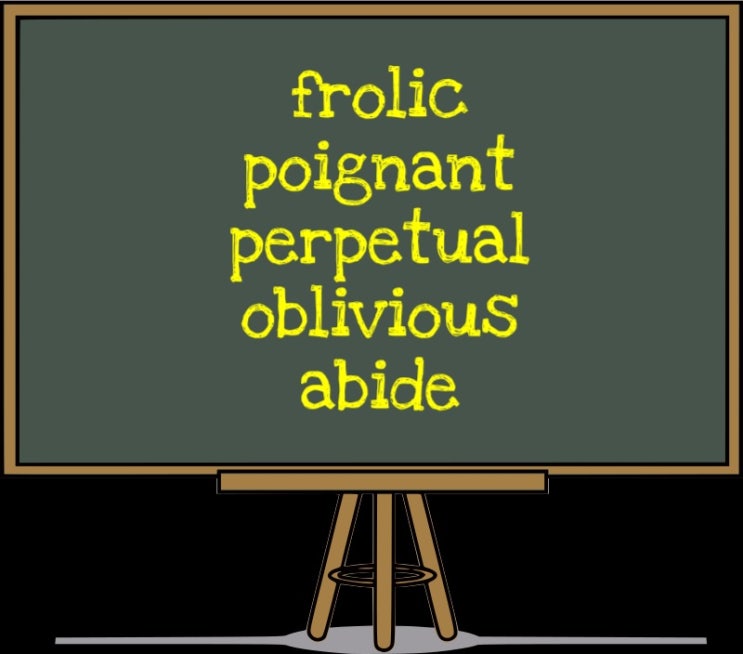 미국에서 많이 쓰는 뭔가 있어 보이는 영어 단어 2탄! frolic, poignant, perpetual, oblivious ...