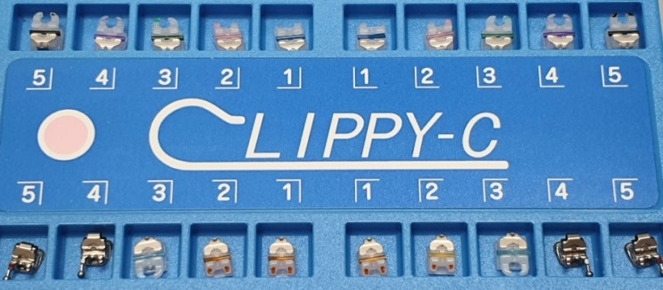 치아 교정 Clippy-C Bracket / 클리피씨 브라켓(근원심 구별법) : 네이버 블로그