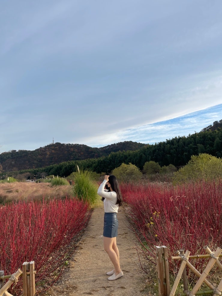 울산 가볼만한 곳탁 트여 힐링하고 돌아오는 곳산책하고 조깅하고 하고싶은거 다해 울산 태화강 국가정원 네이버 블로그