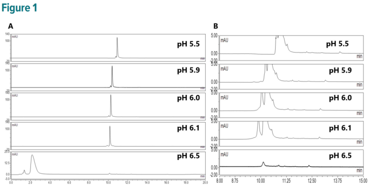 [YMC-BioPro SF column]을 이용한 PEGylated protein’s charge-variants의 효과적인 ...