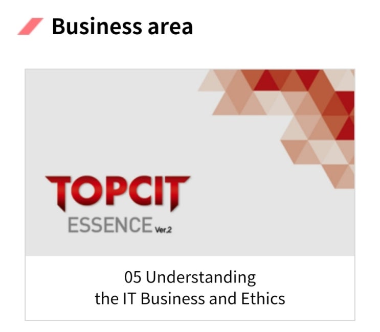 탑싯(Topcit) 비지니스 영역 예상문제 1장 : 네이버 블로그