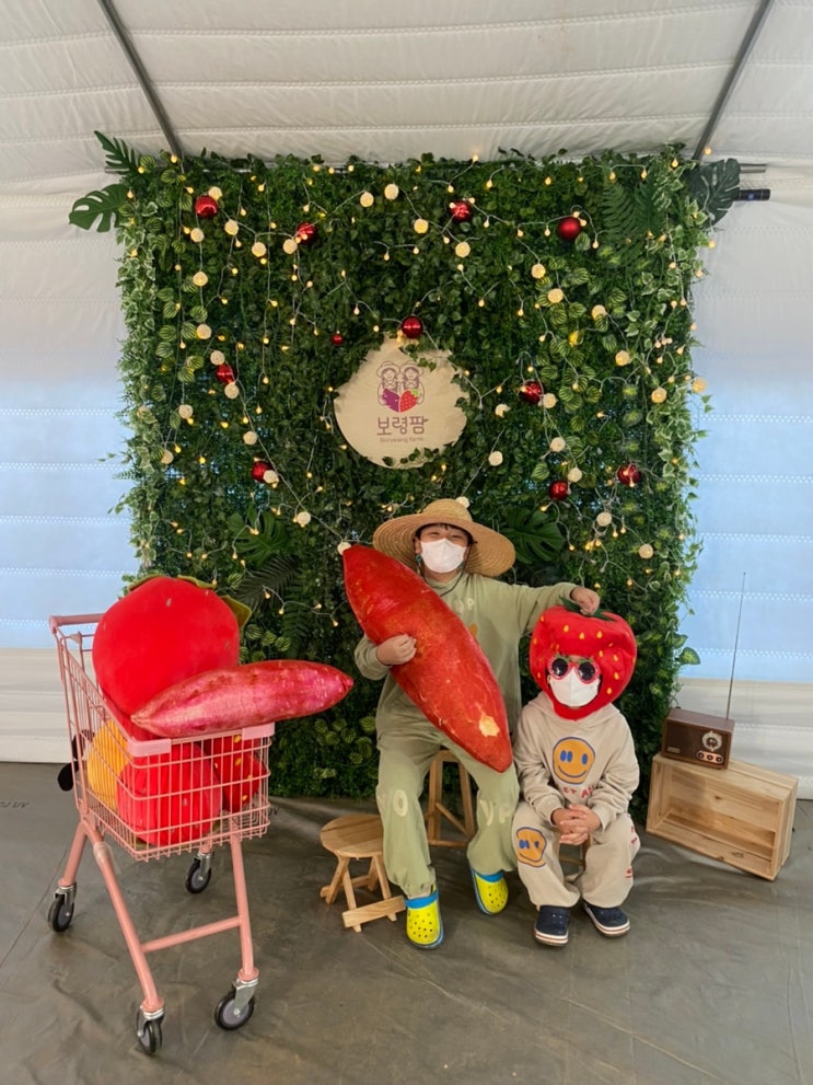 충남 대천 딸기체험 농장 보령팜 체험농장 아이랑 가볼만한곳 : 네이버 블로그