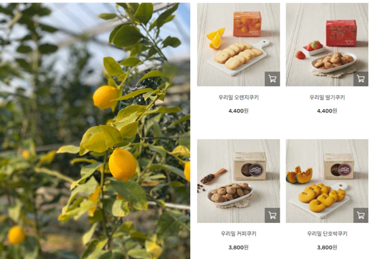 [EPIS_사회적 농업 인턴십] 최종 미션 : 네이버 블로그