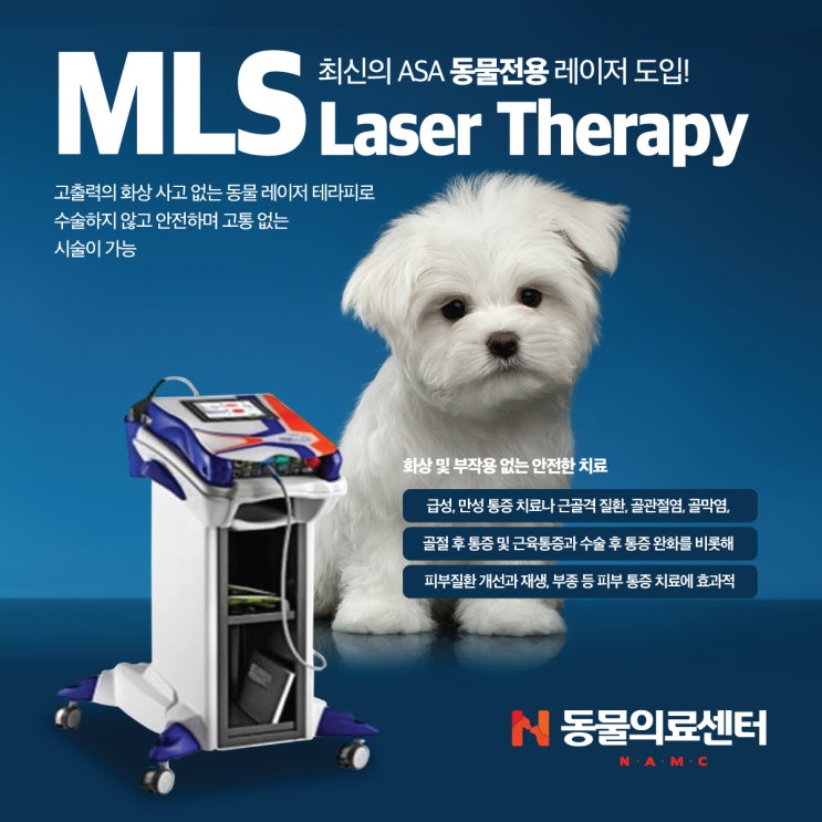 N동물의료센터[노원점], ASA 동물전용 레이저 ‘MLS (Multiwave Locked System) Laser Therapy ...