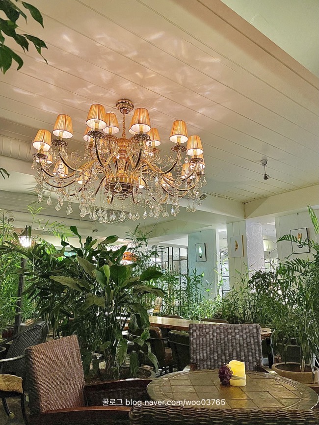 수원 카페 수목원 느낌 가득 '뜰커피' 팔달산 근처 분위기 좋은 곳 :) : 네이버 블로그